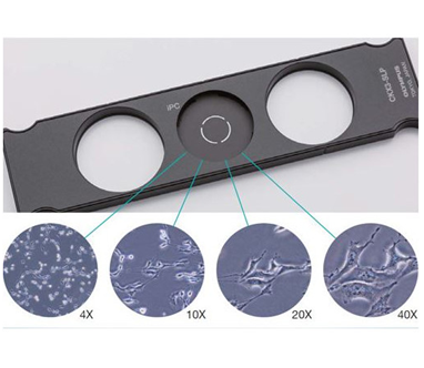 Olympus CKX3-SLP phase-contrast slider for CKX53 microscope/올림푸스 위상차 ...
