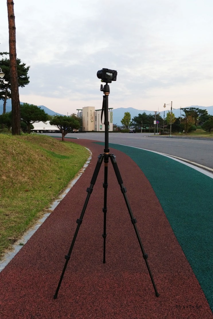 카메라 삼각대 CQ556, 가성비 甲 : 네이버 블로그