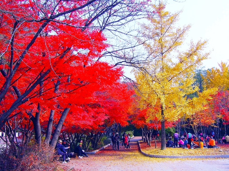 소요산 -자연 속으로- : 네이버 블로그