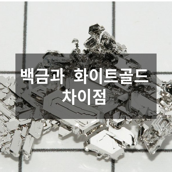 백금 화이트골드 백금과 화이트골드 차이점 네이버 블로그