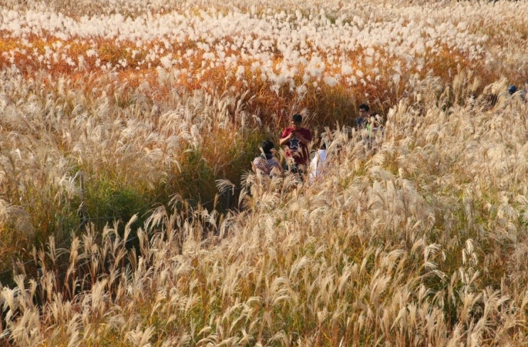 Endless Repetition : 네이버 블로그