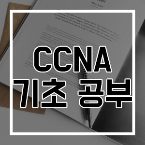 CCNA 교육 원한다면 네트워크자격증 학원에서 기초 공부하자 : 네이버 블로그
