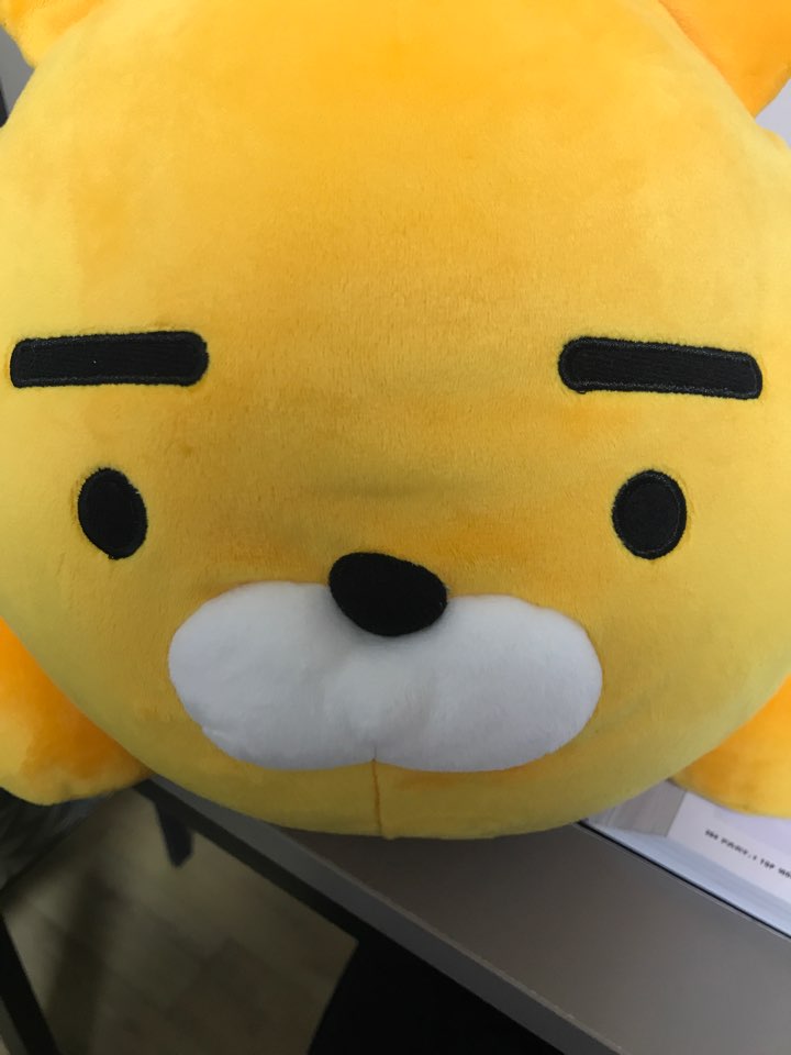 카카오프렌즈 라이언 바디필로우 후기, 교환 : 네이버 블로그