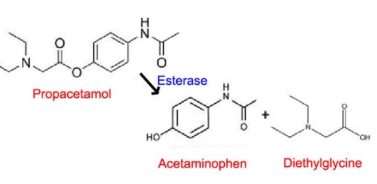 Propacetamol as an alternative of ketorolac for postoperative pain ...
