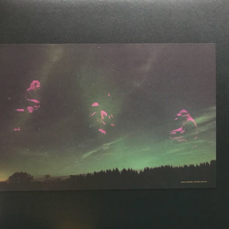 [LP, 엘피] Daniel Norgren(다니엘 놀그렌) - Skogens Frukter (Northern Lights 마블 ...