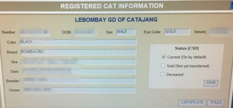 봄베이 버미즈 TICA 혈통 인증 : 네이버 블로그