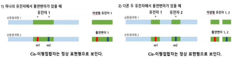 cis-trans complementation test (시스-트랜스 상보성검사) : 네이버 블로그