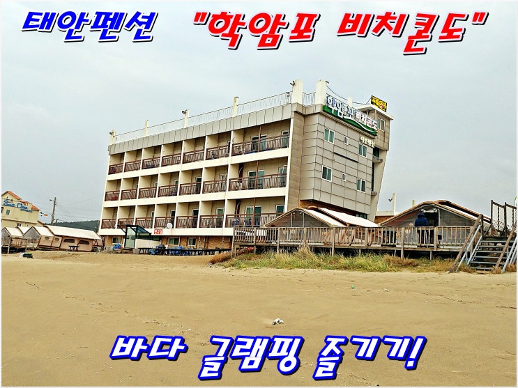 태안펜션 학암포 비치콘도에서 바다 글램핑 즐기기 네이버 블로그