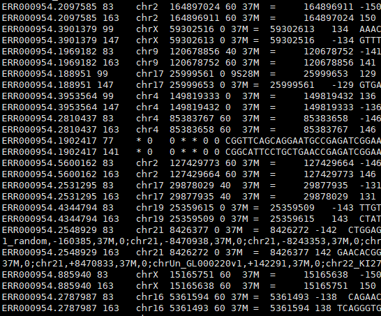 samtools : 정렬 안된 Sam, Bam file 정렬하기 : 네이버 블로그