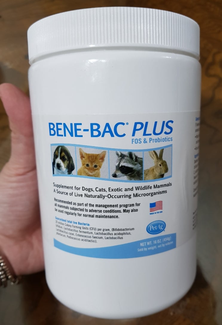 [고양이 유산균] [고양이 영양제] 비니백 플러스 파우더 (Bene-bac plus powder) : 네이버 블로그