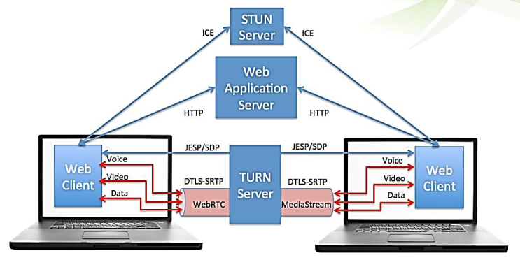 DS1 : 네이버 블로그