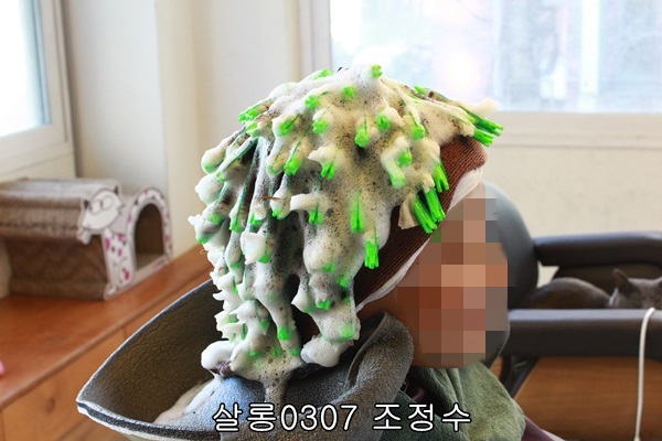 트위스트펌 트위스트머리 히피펌 히피머리 가로수길미용실 살롱0307 헤어디자이너조정수 네이버 블로그