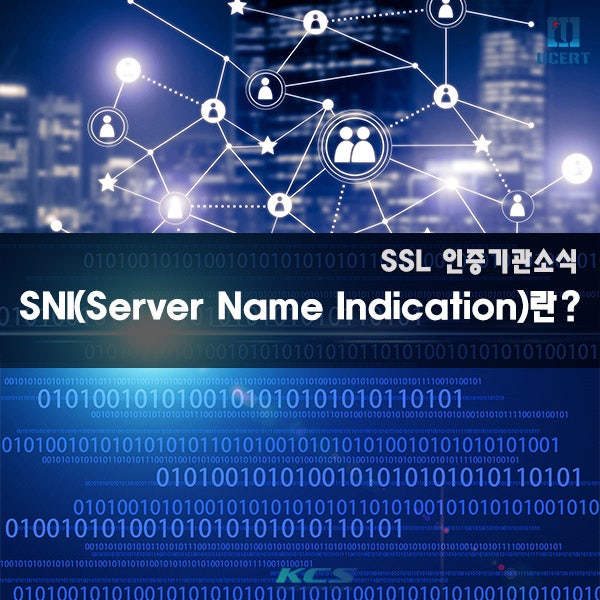 What Is Sni 네이버 블로그