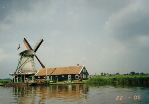 급성 연쇄상구균 감염 후 사구체신염, 발병기전, Poststreptococcal glomerulonephritis(PSGN ...