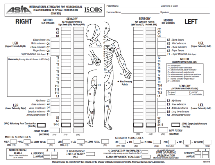ASIA scale 다운로드 : 네이버 블로그