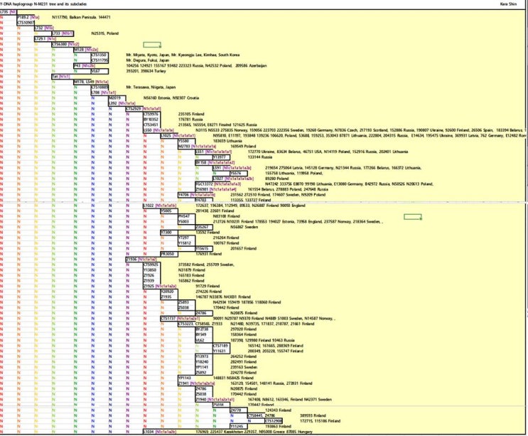 Y 하플로 그룹 N-M231 수형도 [Y Haplogroup N tree] : 네이버 블로그