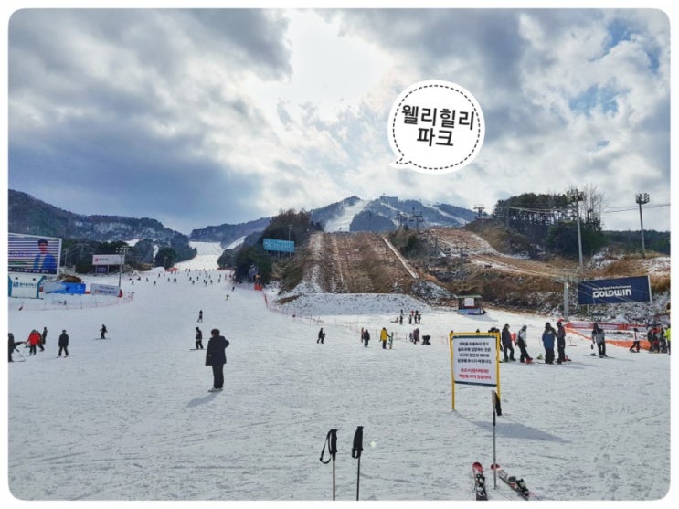 웰리힐리파크 서울에서 가까운 스키장~ 웰리힐리 스키복대여 장비렌탈 꿀팁 스키장 준비물 네이버 블로그