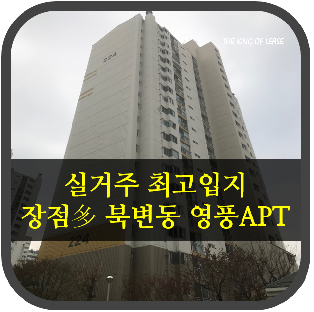 실거주 최고입지 김포 사우동 영풍아파트 급매 네이버 블로그
