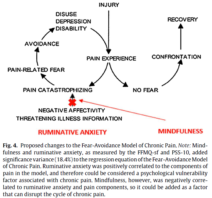 [통증] The Fear-Avoidance Model of Chronic Pain에 ruminative anxiety 및 ...