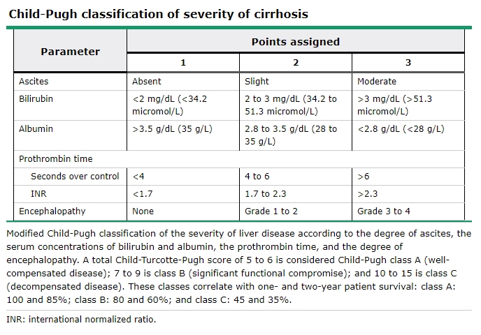 차일드 푸 분류, Child-Pugh classification : 네이버 블로그