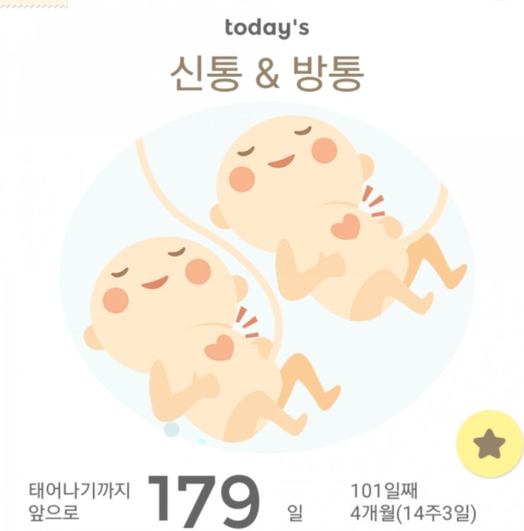 임신14주 증상 드뎌 성별을 알다 이란성 쌍둥이 니프티검사 재검 네이버 블로그