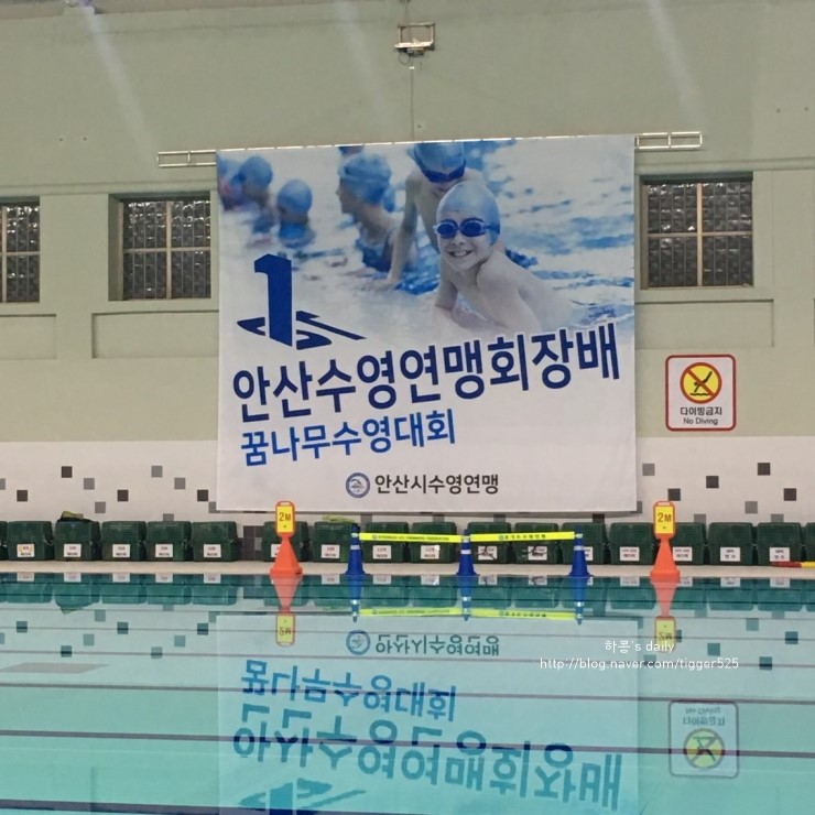 압구정 수영장 안산수영연맹회장배 꿈나무수영대회 네이버 블로그