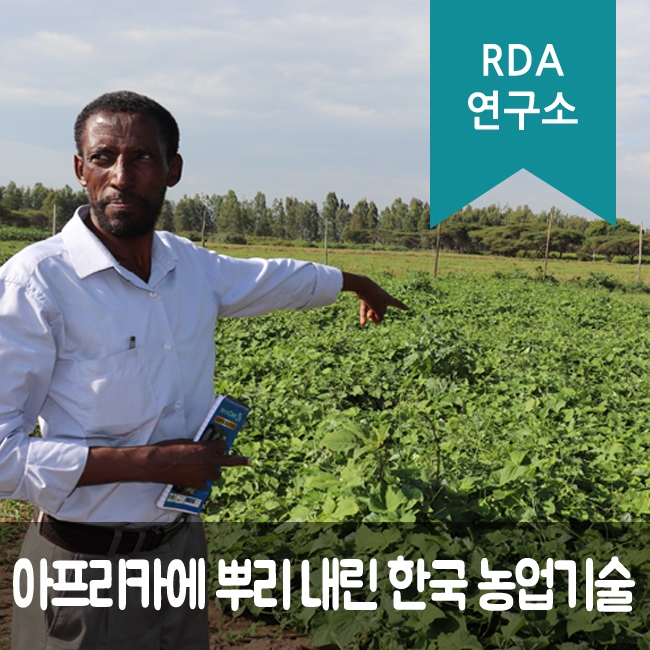 아프리카에 뿌리내리는 코리아 농업기술, KAFACI를 소개합니다. : 네이버 블로그
