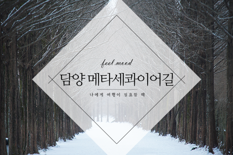 담양 메타세콰이어 길 전라도 설원 눈내리는아침 가볼만한곳 네이버 블로그