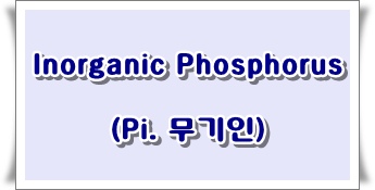 Inorganic Phosphorus(Pi, 무기인) : 네이버 블로그