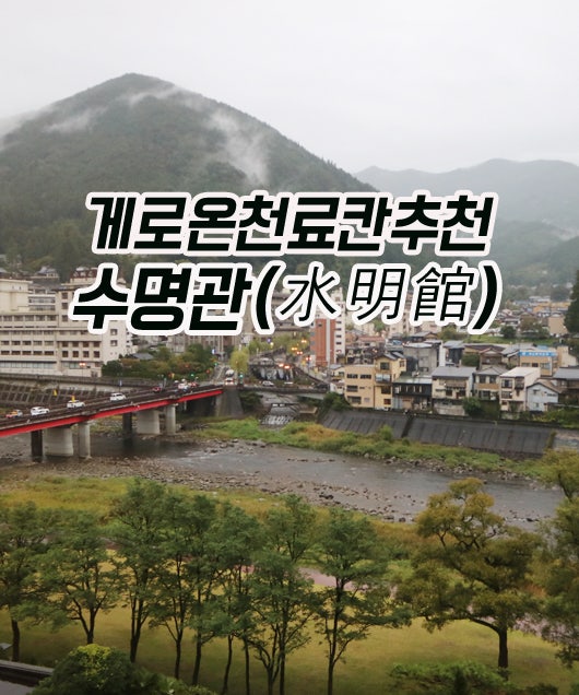 나고야자유여행 게로온천마을 게로온천호텔 수명관스이메이칸 네이버 블로그