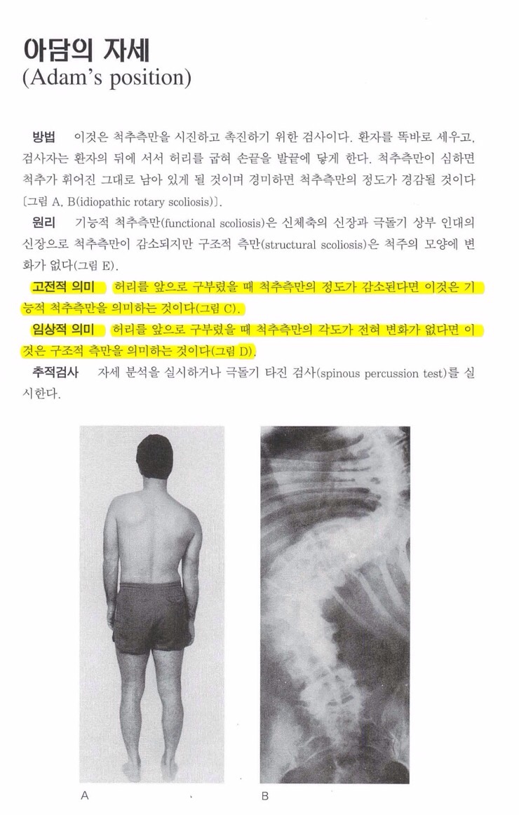 adam's position : 네이버 블로그