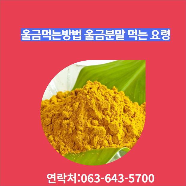 울금먹는방법 울금분말 먹는 요령 : 네이버 블로그