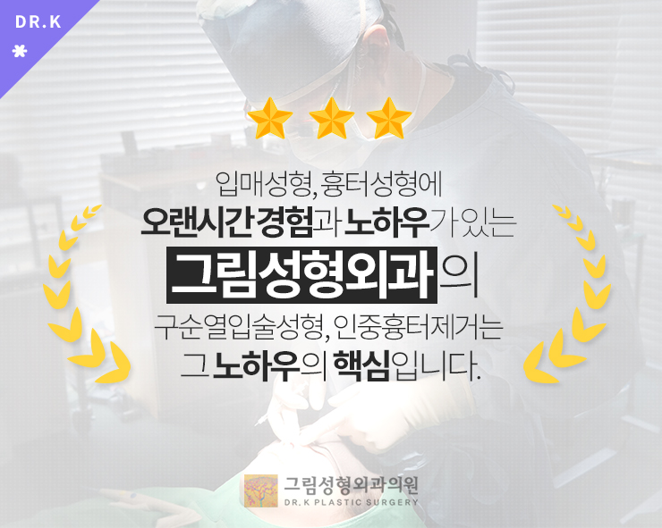 구순구개열 인중흉터 :: 그림에서 알려드립니다. : 네이버 블로그