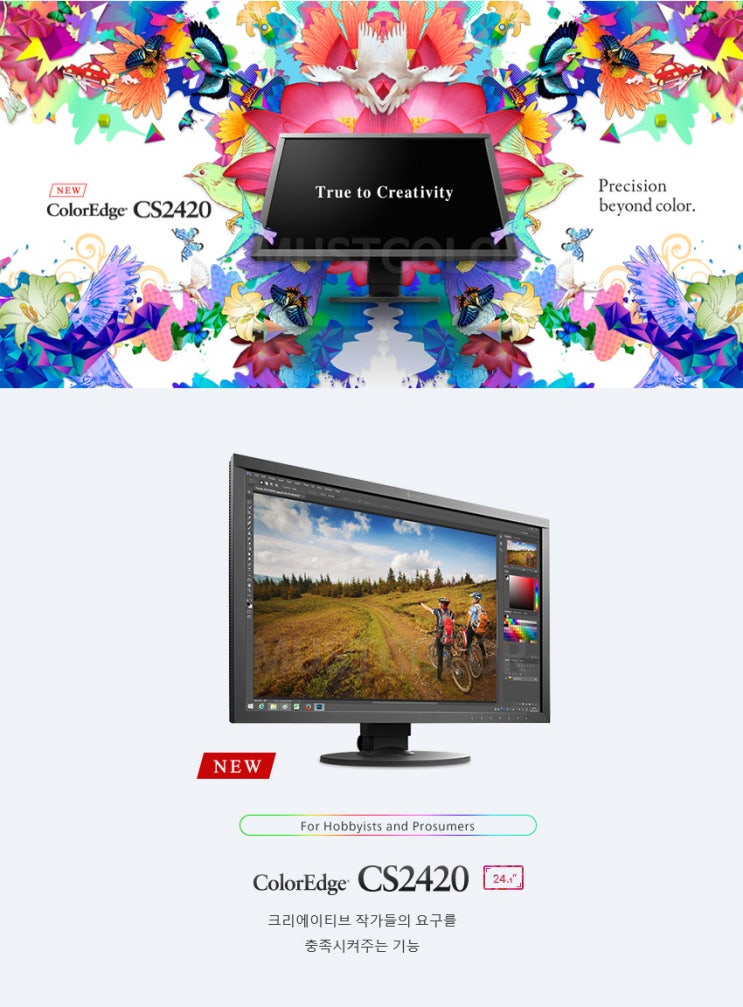 에이조 모니터 더!준데이 [EIZO ColorEdge CS2420] : 네이버 블로그
