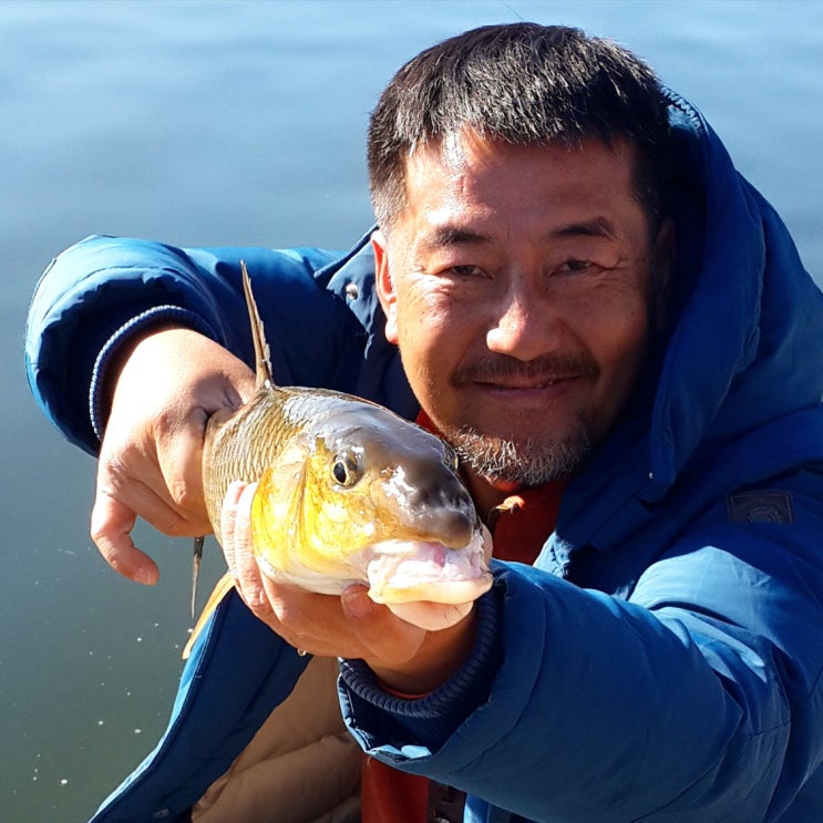 누치 Barbel steed 누치낚시 : 네이버 블로그