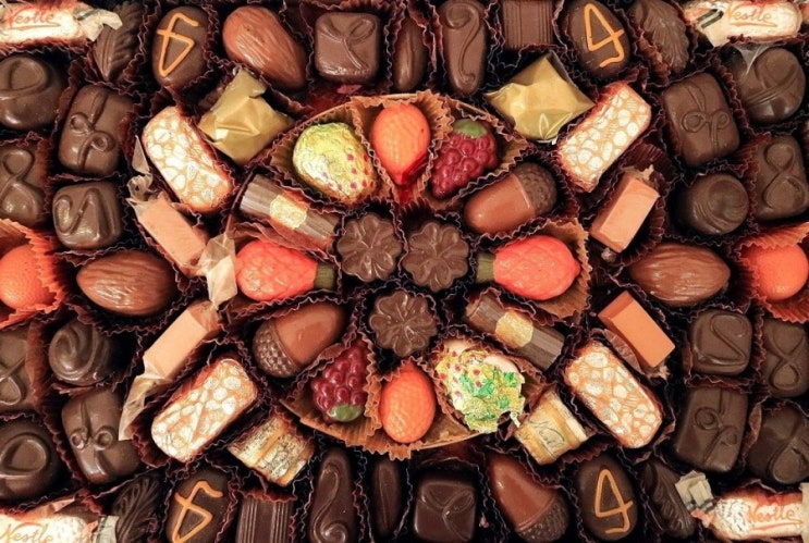 [워홀/TAS] 타즈매니아 가볼만한 곳! - 초콜렛 팩토리 (Chocolate factory, House of Anvers ...