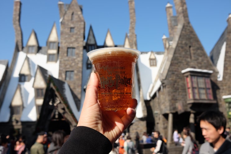 20171116 오사카, 유니버설스튜디오재팬 (USJ, 익스프레스4, 해리포터, 미니언즈, 오사카여행, 두번째오사카, 일본여행 ...