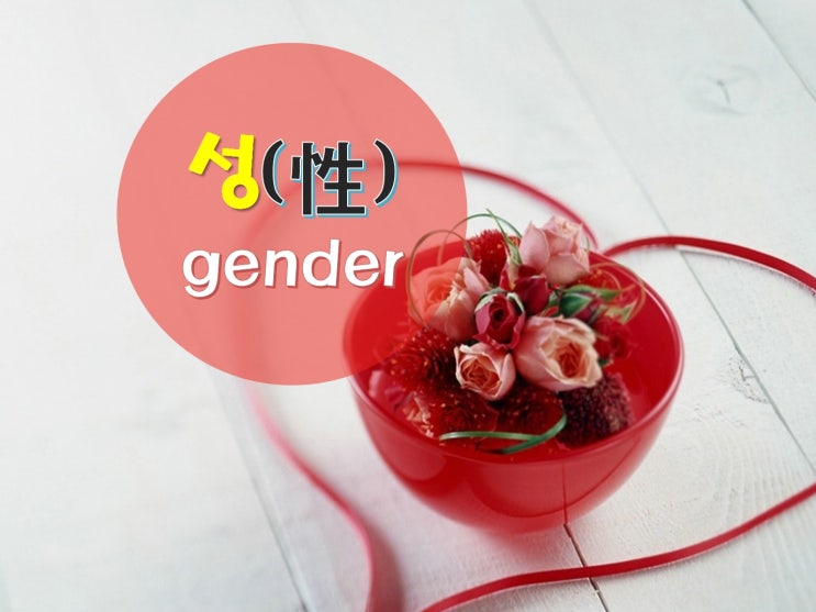 초등 성교육ppt 남자와 여자의 2차성징 고학년 수업내용 동영상포함 네이버 블로그