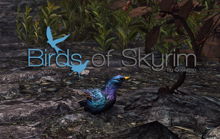 [스카이림 LE/ SE] Birds of Skyrim 한글화 (2017.12.27 ) : 네이버 블로그