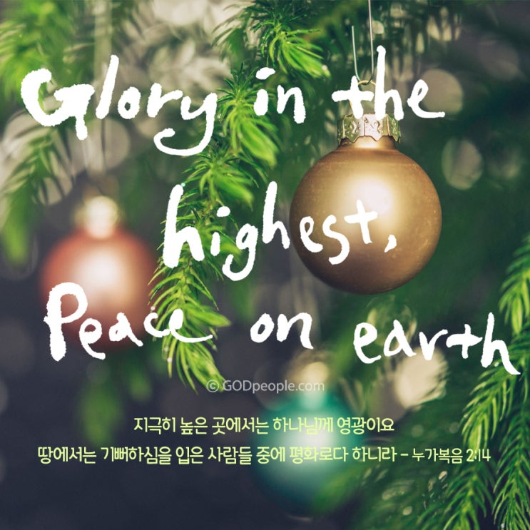 크리스마스 성경말씀 카드 갓피플 성탄 바탕화면 배경화면 네이버 블로그