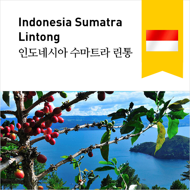 품절커피 인도네시아 수마트라 린통 Indonesia Sumatra Lintong : 네이버 블로그