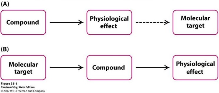 36.의약품 개발 Drug development : 네이버 블로그