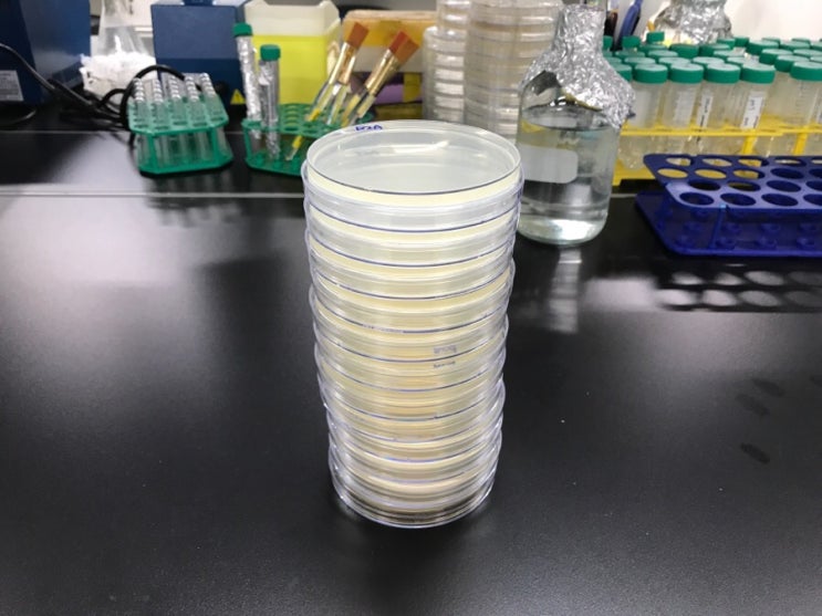 R2A agar 배지만들기 / 조성 : 네이버 블로그