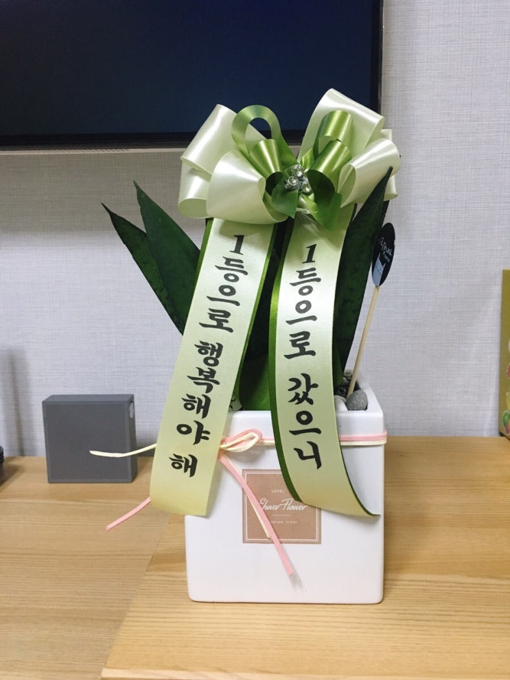 제나리카•스투키 •집들이선물•집들이화분•안양이화플라워•안양관엽•안양꽃배달•이화꽃전시장•집들이 문구 네이버 블로그