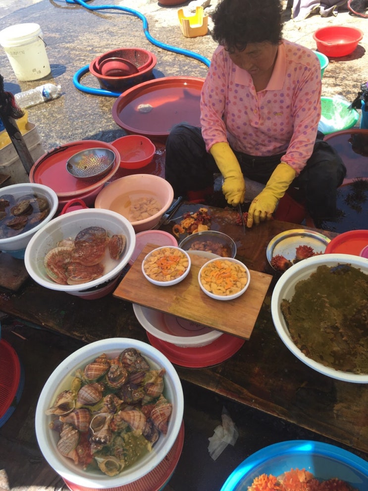 나 혼자 여행 / 속초 여행 / 속초 / 청초수물회 / 속초는 사랑 : 네이버 블로그