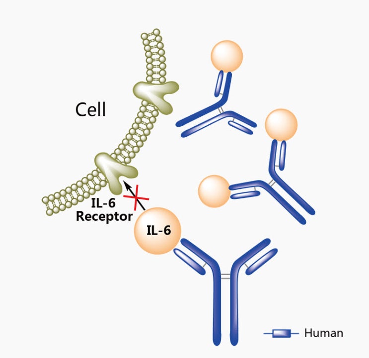 실반트(Sylvant), 다발성 캐슬만병 치료제 : 네이버 블로그