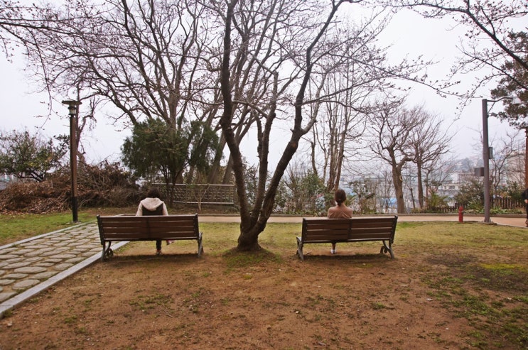 목포 여행 목포근대역사관 동본원사 김대중 노벨평화상 기념관 맛집 네이버 블로그