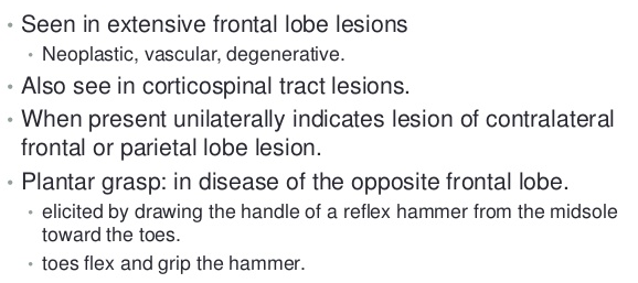 frontal releasing sign : 네이버 블로그