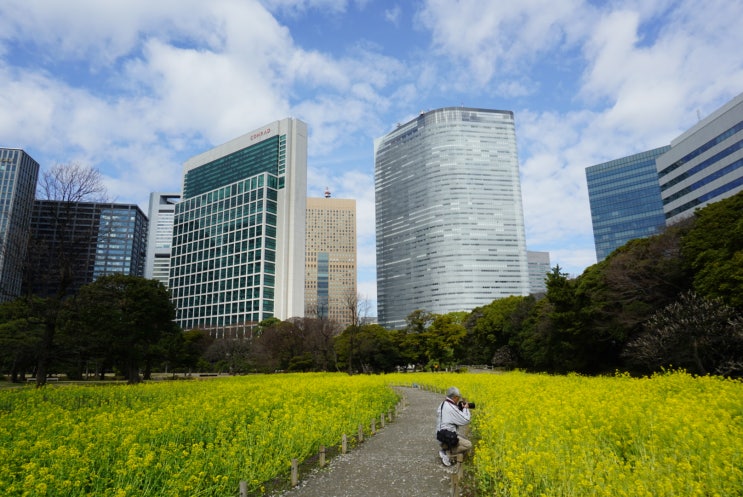 No. 7 일본/한국 출장 따라가기. : 네이버 블로그
