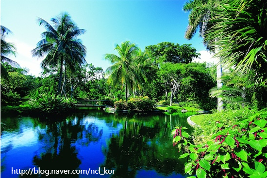 NCL 크루즈 4월 이벤트 : 네이버 블로그